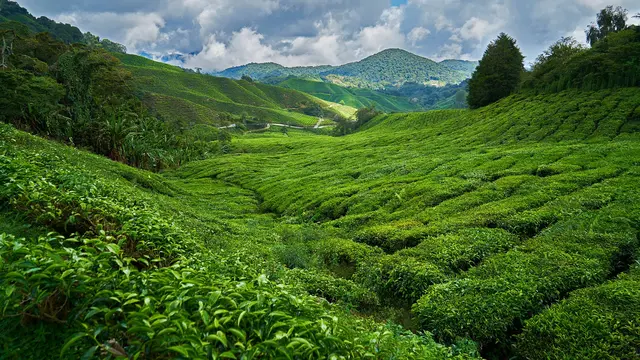 35 Kata-Kata Keren tentang Gunung, Penuh Makna dan Menginspirasi ...