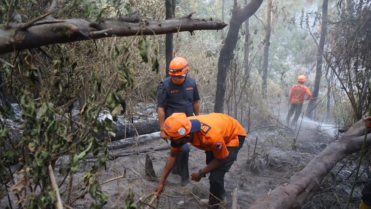 Pendinginan Kebakaran di Gunung Bromo, Petugas Gabungan Gunakan Gepyok ...