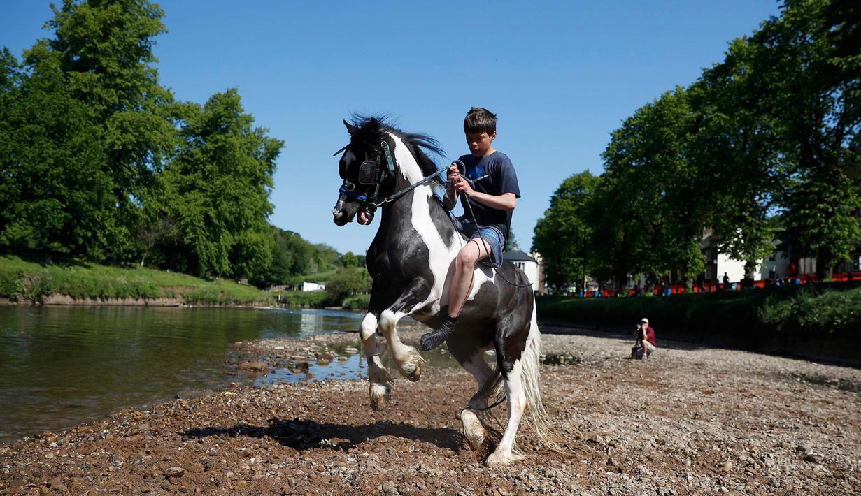 Kuda-kuda Cantik di Horse Fair Inggris - Foto Liputan6.com