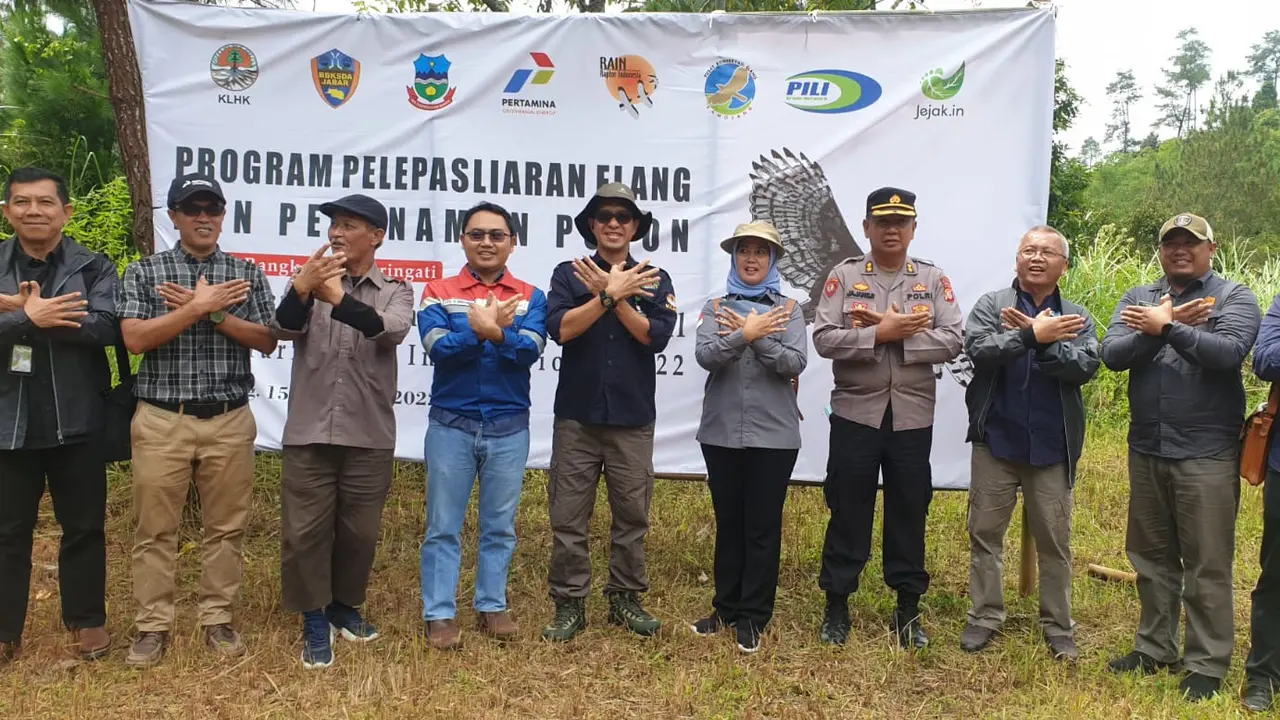 Saatnya Si 'Elang Cantik' Mona dan Baby Temukan Jodoh di Langit ...