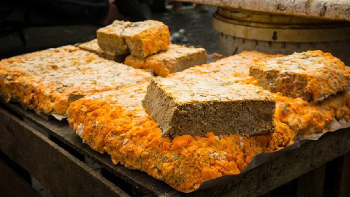 Tips Mengolah dan Menyimpan Oncom Agar Tahan Lama - Lifestyle Fimela.com