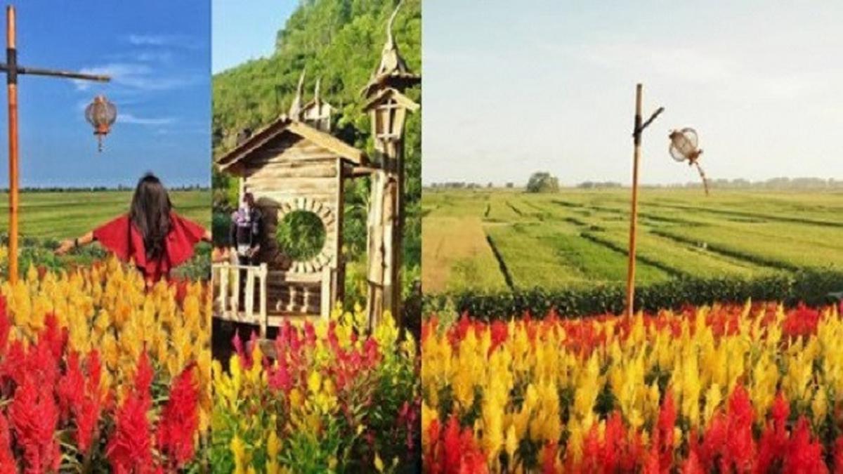 Celosia, Taman Bunga Bernuansa Eropa di Selatan Jawa