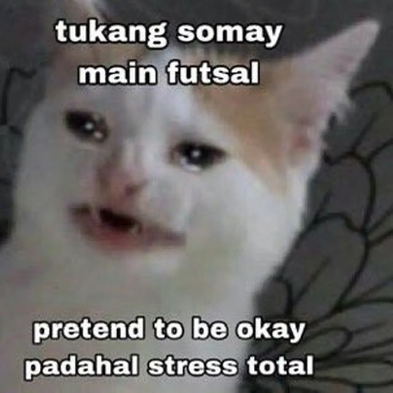 6 Meme Putus Asa dengan Hidup Ini Bikin Senyum Tipis, Jadi Ikut Sedih ...