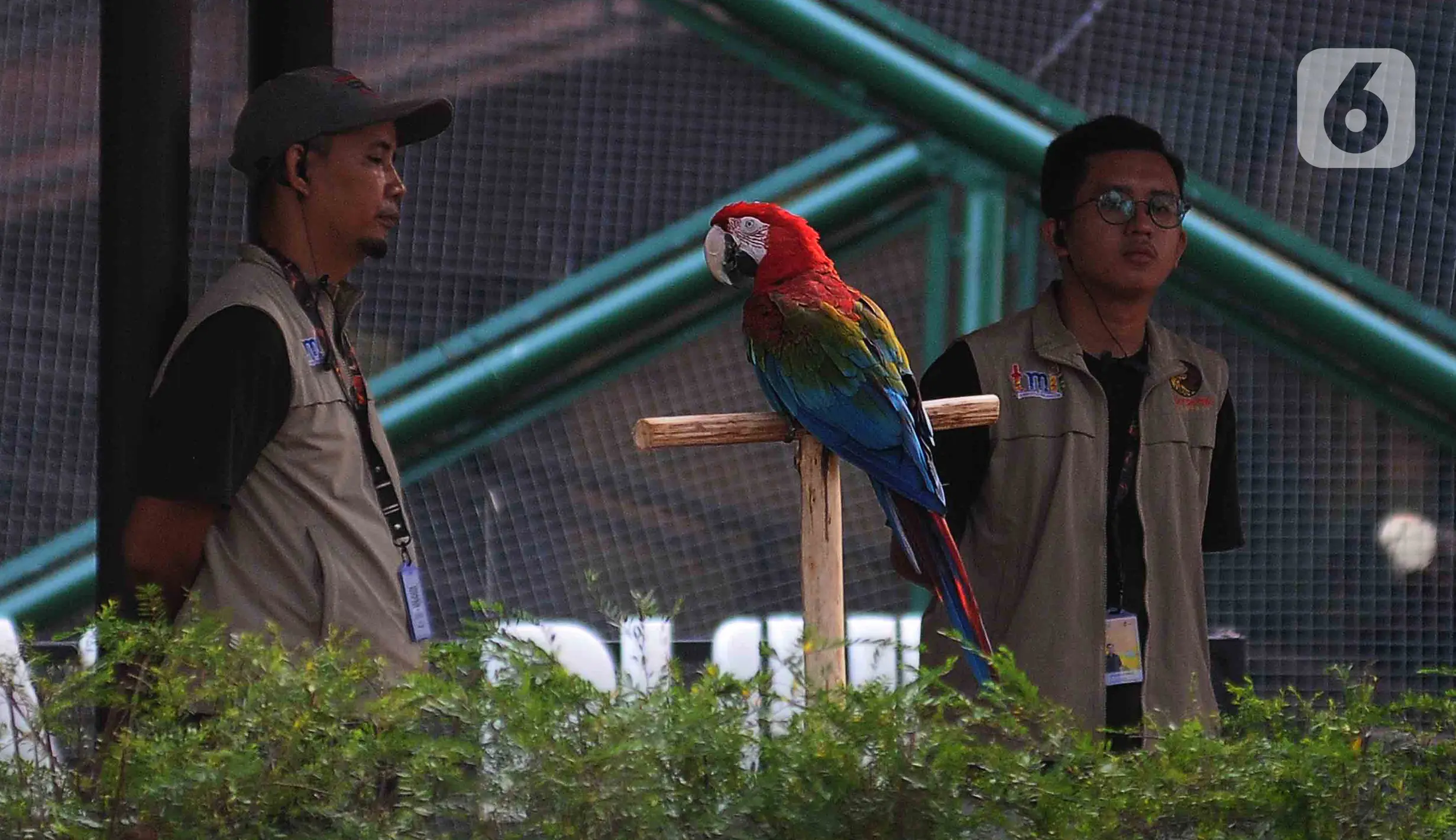 Mengunjungi Taman Burung TMII Jagat Satwa Nusantara - Foto Liputan6.com
