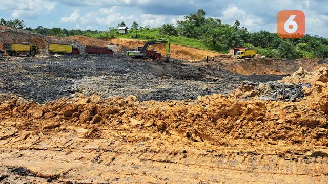 Polda Kaltim Gerebek Tambang Batu Bara Ilegal Sebulan Terakhir Apa Hasilnya Regional