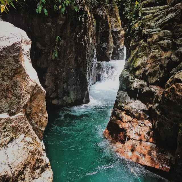 17 Tempat Wisata di Sentul yang Cocok untuk Healing dan Ramah Anak