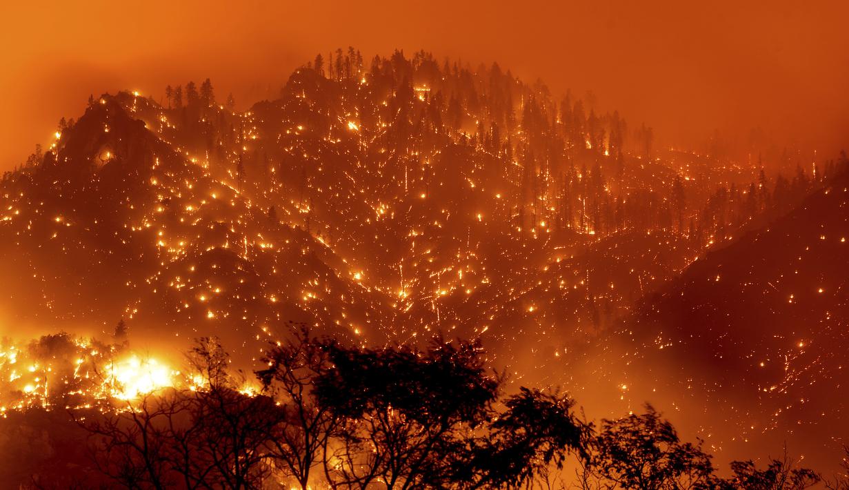 FOTO: Pemandangan Mengerikan Kebakaran Hutan di California - Foto ...