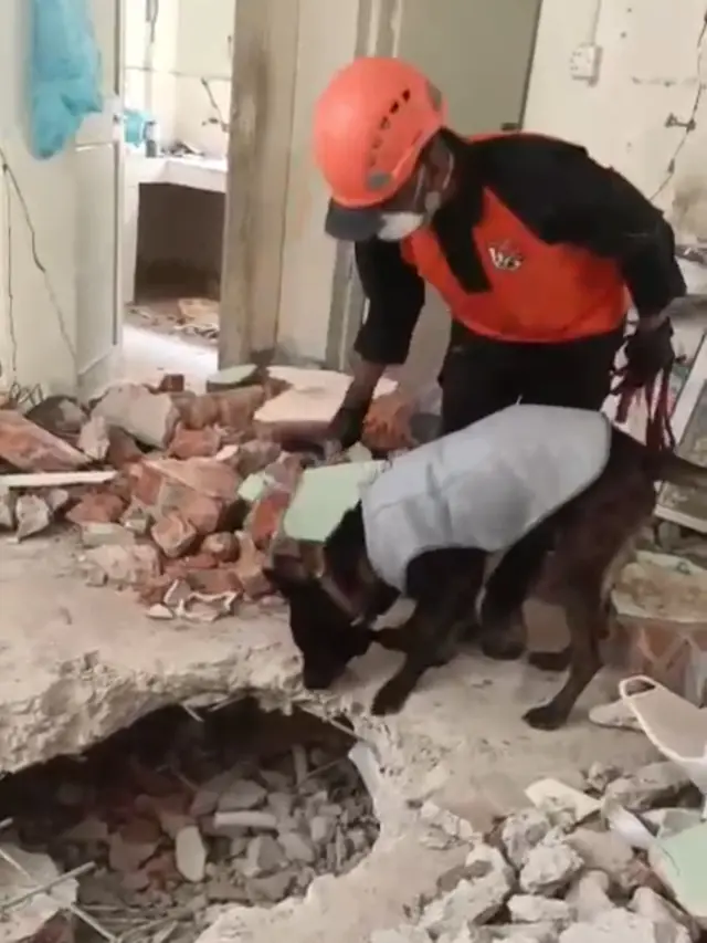 Tim K9 SAR Indonesia Temukan Korban Gempa Myanmar di Reruntuhan Bangunan - News Liputan6.com