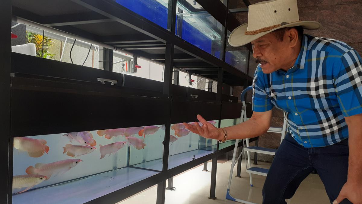 Umuh Muchtar: Persib Siap Wakili Indonesia di Piala AFC 2021