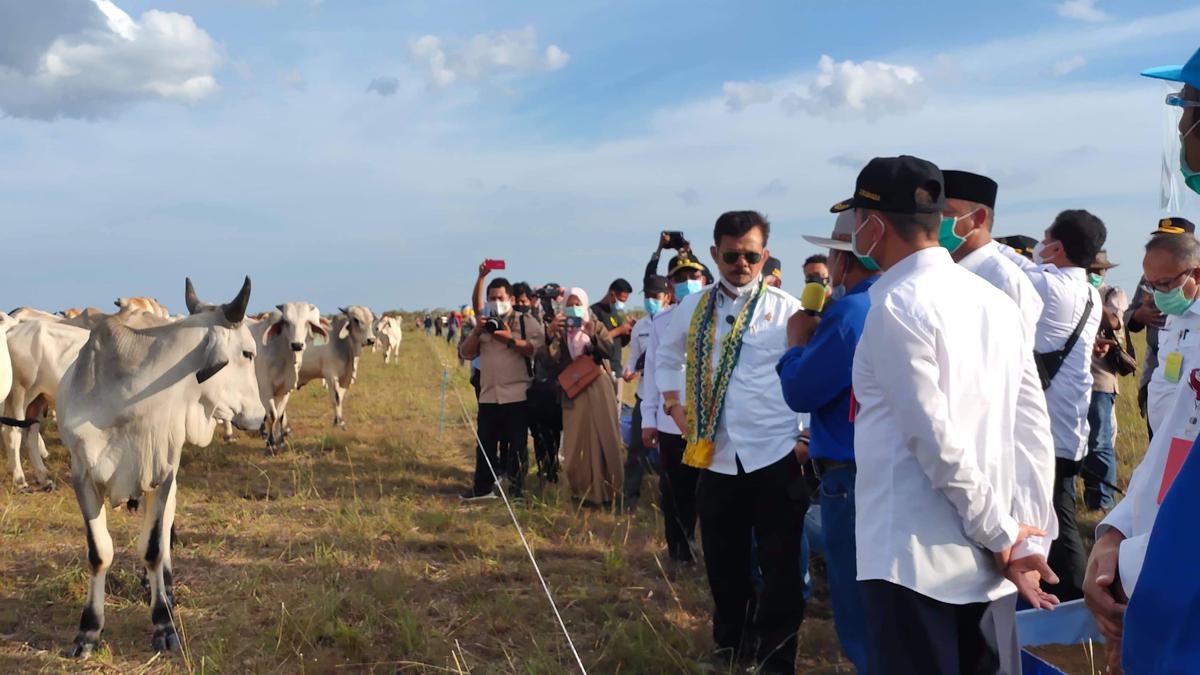 6 Fakta Menarik Sukamara, Jumlah Penduduknya Paling Sedikit di ...