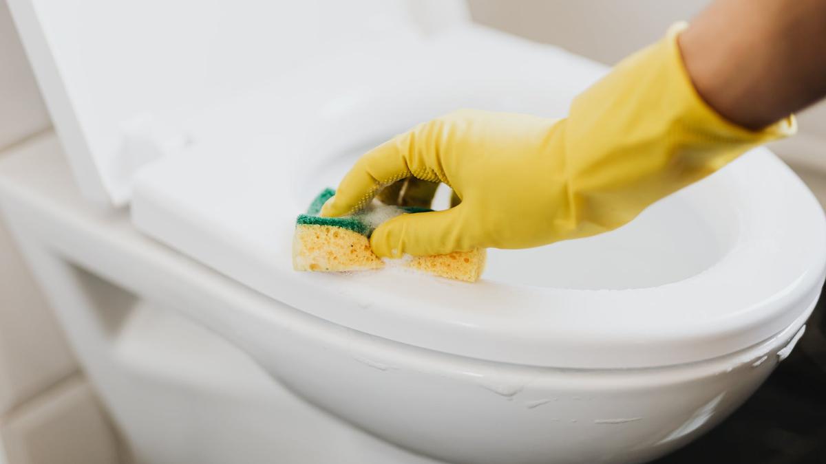 8 Cara Mengatasi WC Mampet yang Mudah Dilakukan, Langsung Lancar - Hot ...