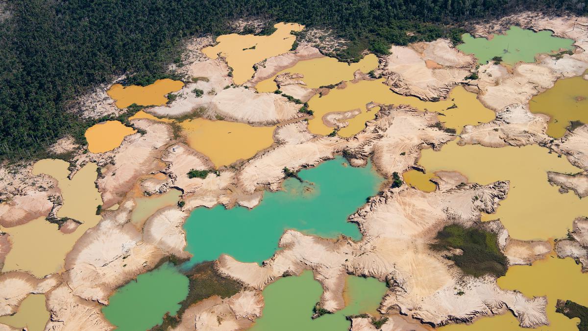 FOTO: Kerusakan Hutan Amazon Akibat Penambangan Ilegal - Foto Liputan6.com