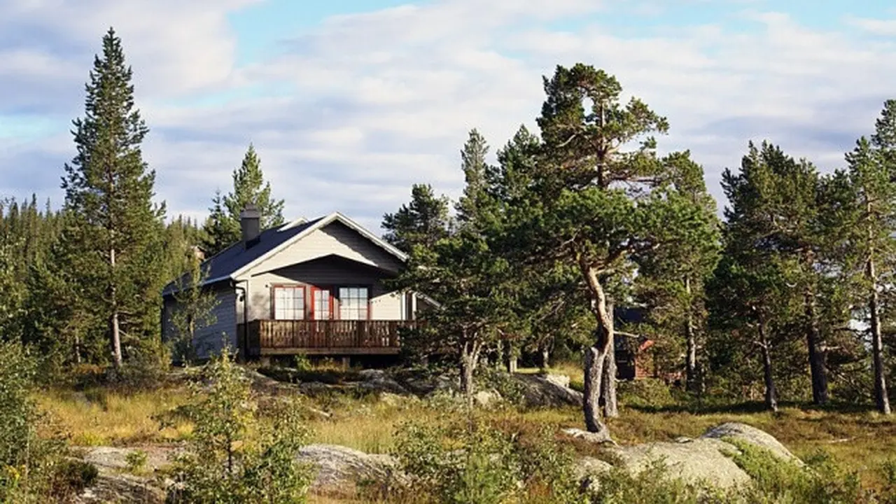 7 Inspirasi Model Rumah di Tengah Hutan yang Minimalis dan Cantik ...