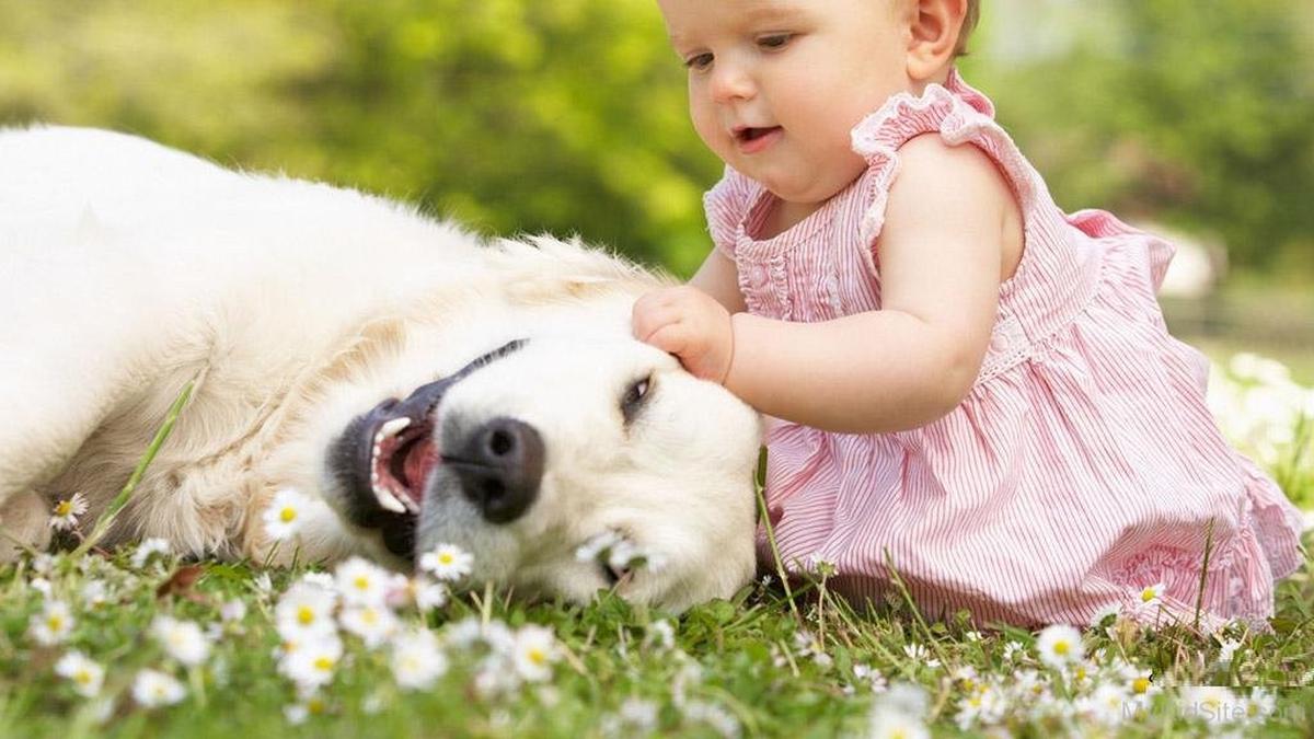Ingin Bayi Tumbuh Lebih Lincah? Biarkan Bayi Bebas Bergerak