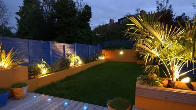 8 Jenis Rumput Taman yang Populer, Pilih Sesuai Kondisi Lingkungan ...