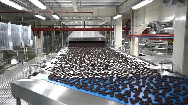Intip Tahap-Tahap Pembuatan Oreo di Pabrik