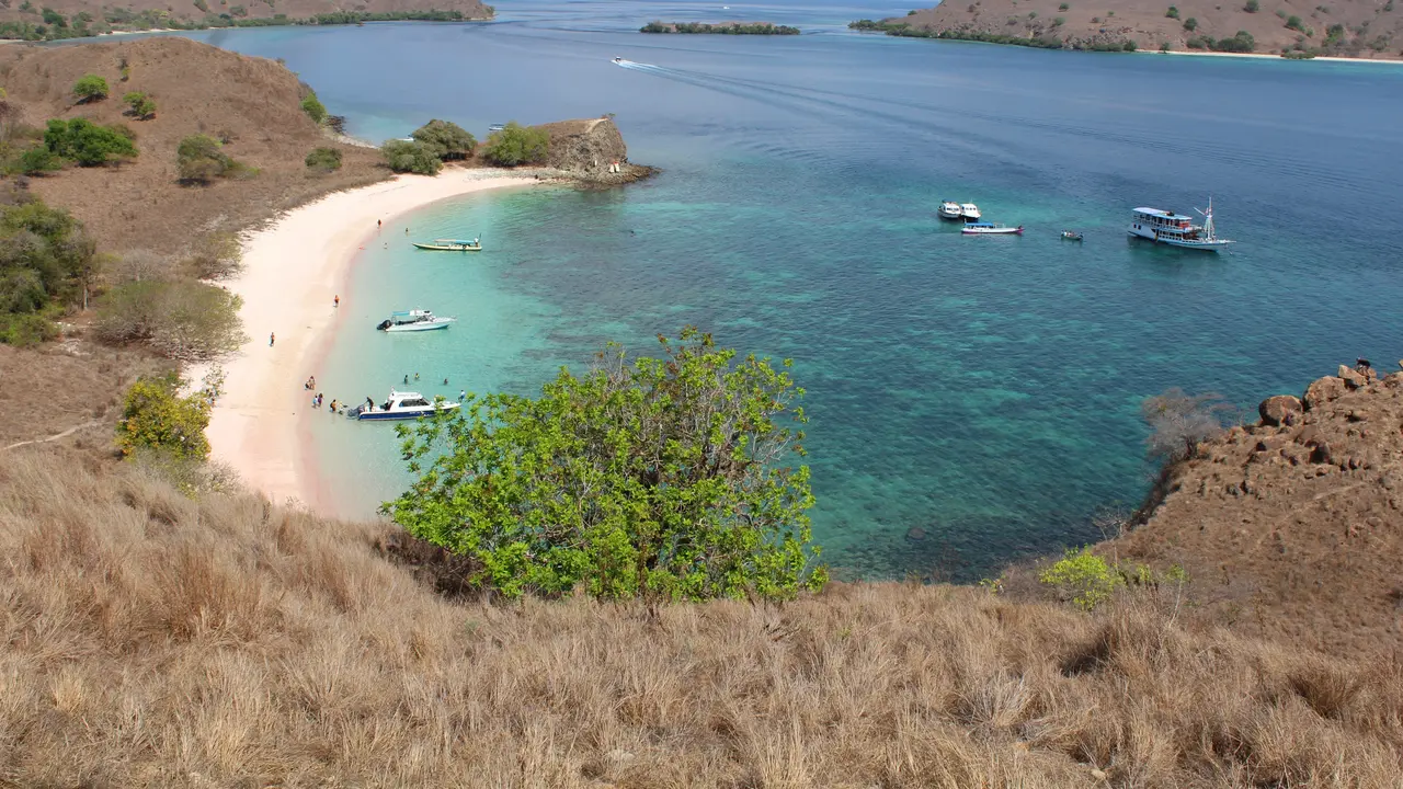 Mengenal Pink Beach, Salah Satu Pantai Tercantik di Indonesia ...