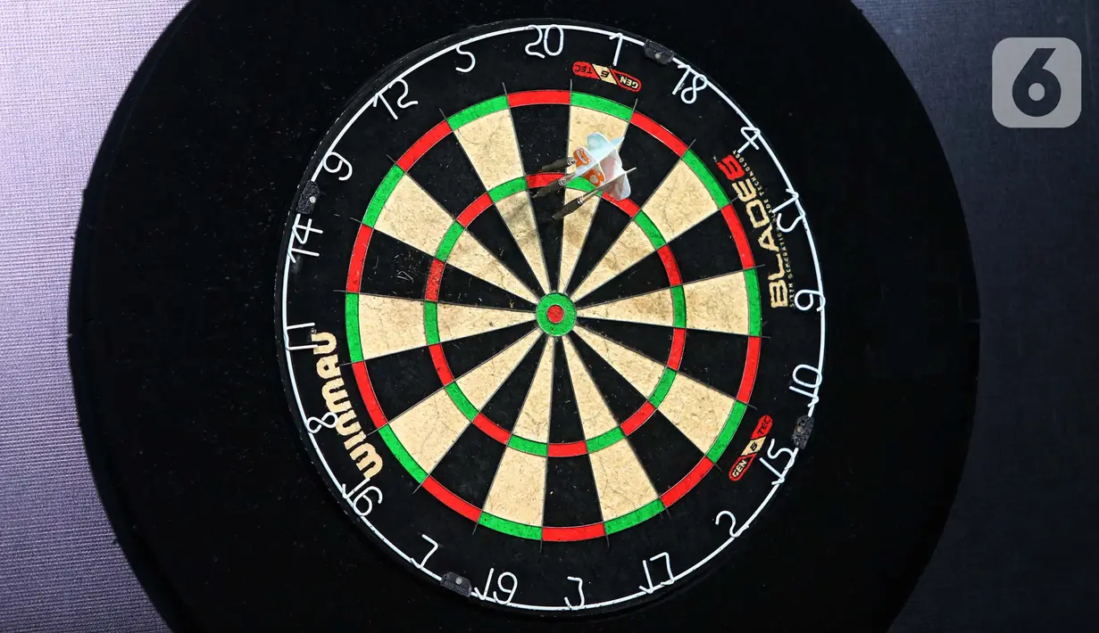 Berawal dari Permainan, Darts kini Dipertandingkan Secara Profesional ...