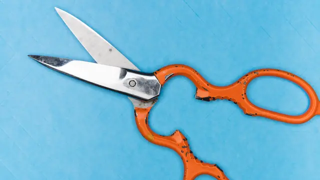 5 Cara Mempertajam Gunting yang Tumpul, Efektif dan Mudah Dilakukan ...