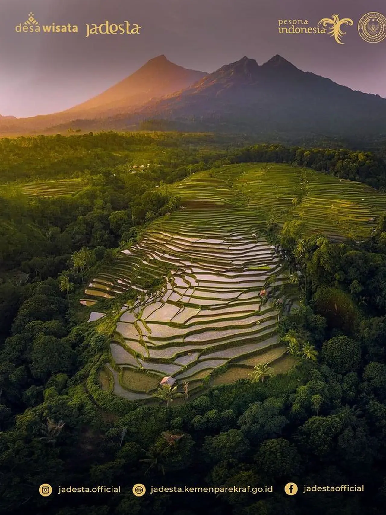 Menikmati Keindahan Sawah dan Hutan Adat Desa Wisata Bayan Lombok ...