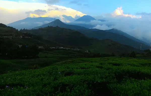 16 Jenis-Jenis Hukum Tajwid, Lengkap dengan Penjelasan dan Contohnya ...