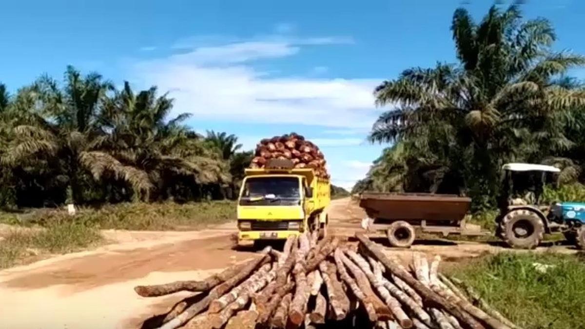 Loading Ramp di Kalimantan Barat Bakal Ditutup, Apa Fungsinya ...