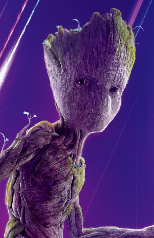 groot artinya
