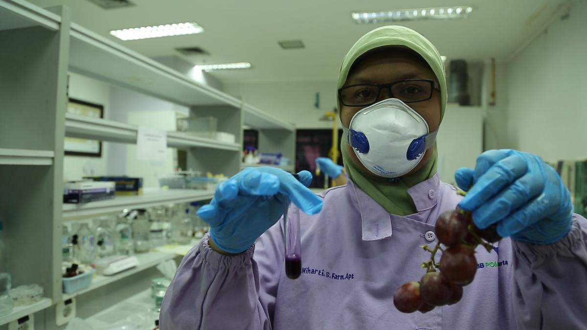 Bahan Pangan Mengandung Formalin Masih Ditemukan di Jakarta Barat ...