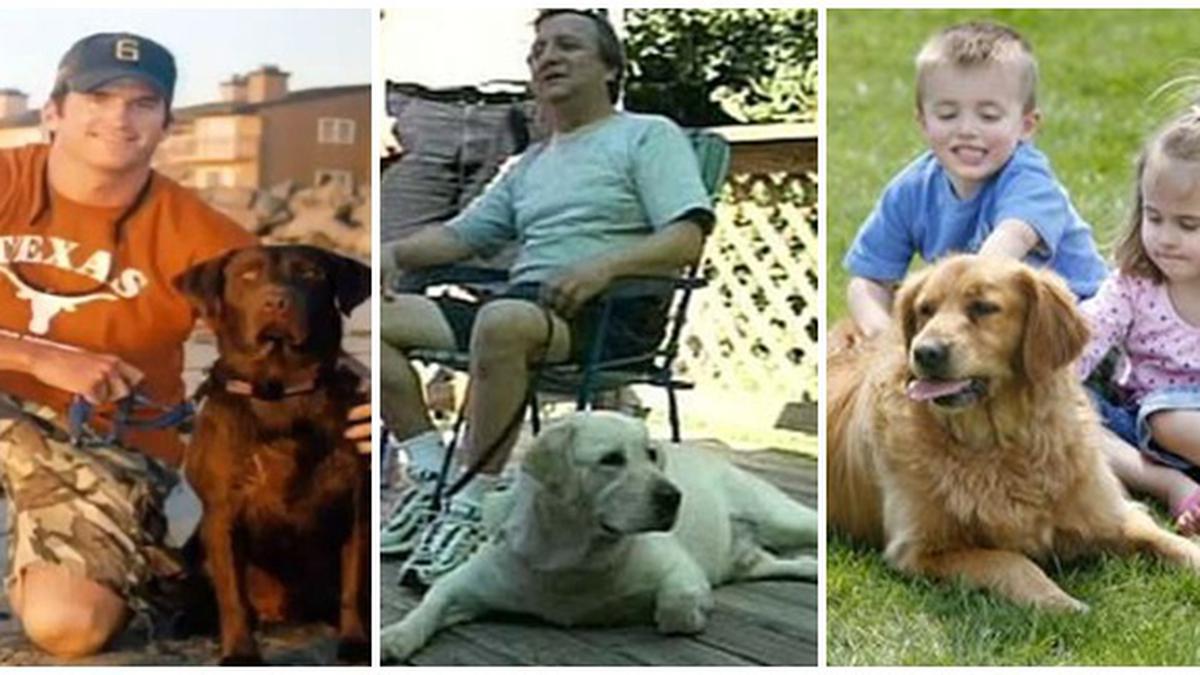 5 Kisah Anjing Setia Yang Mengharukan