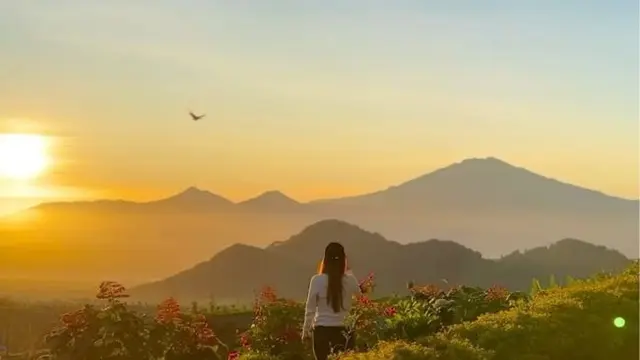 Staycation di Silancur Highland Magelang, Tampilkan Pemandangan Alam ...