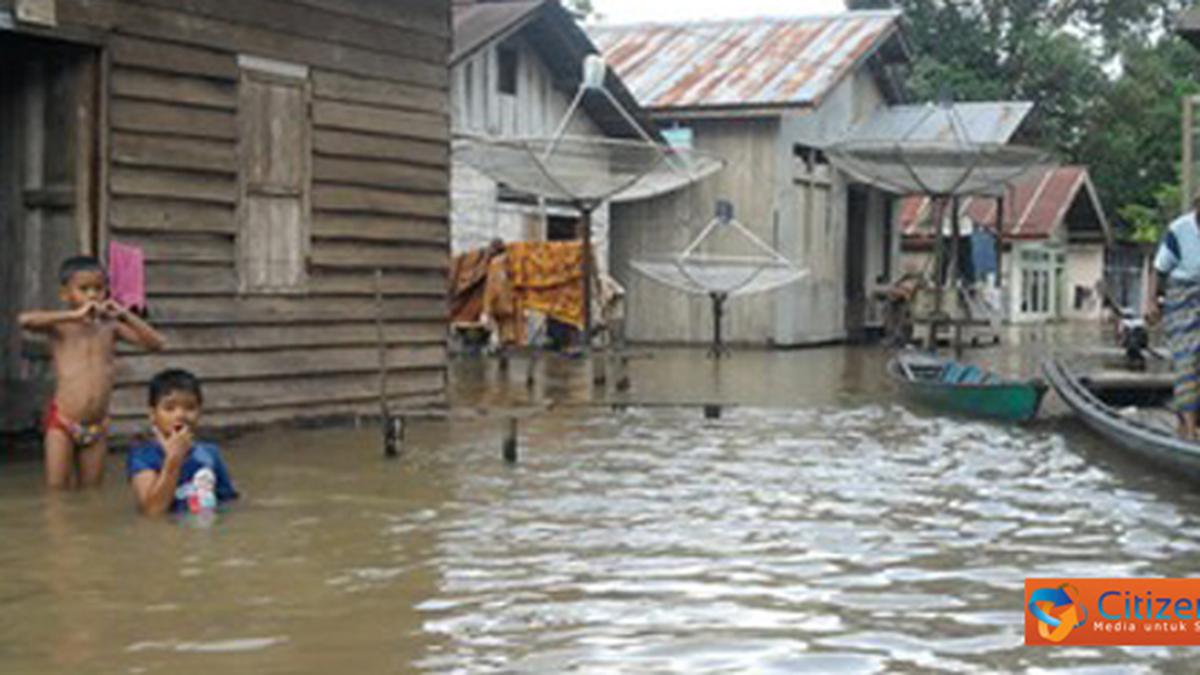 Banjir Rendam 389 KK di Tayan Hulu - Citizen6 Liputan6.com