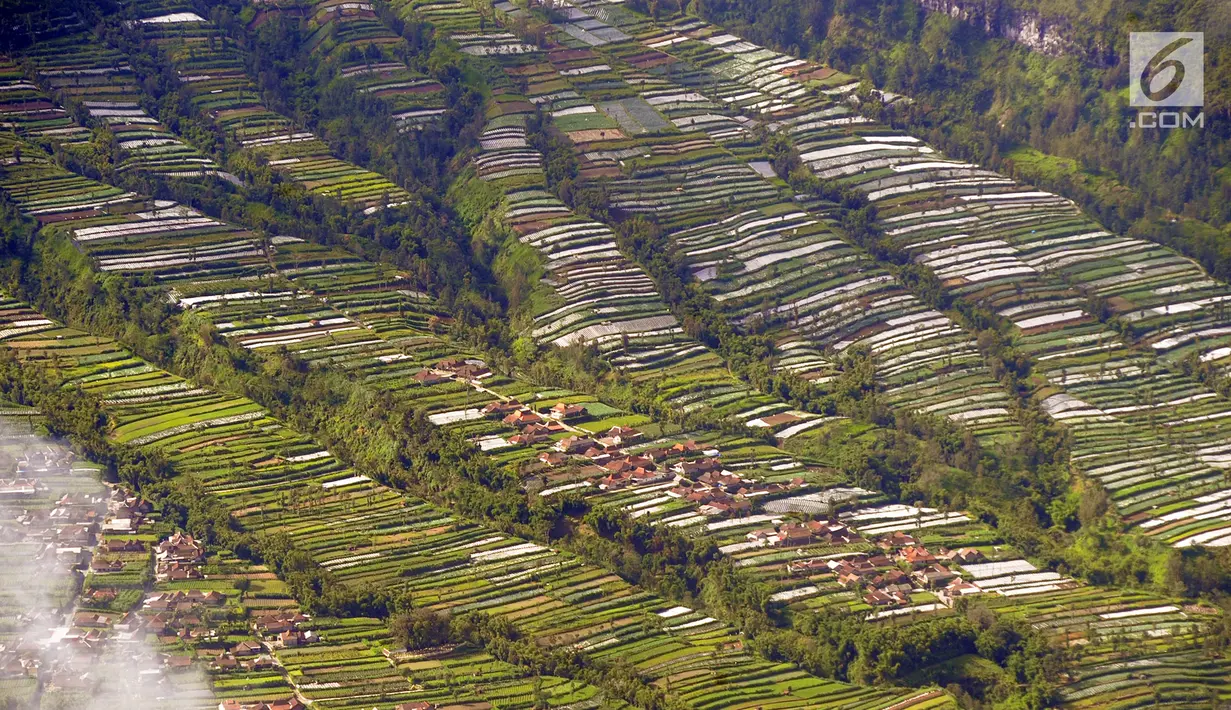 FOTO: Melihat Merapi dari Gunung Merbabu - Foto Liputan6.com