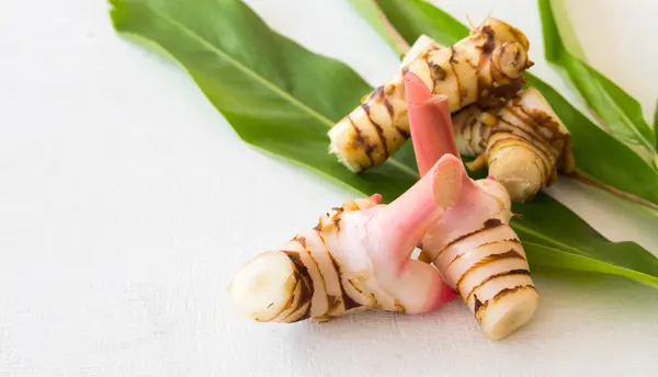 16 Jenis-Jenis Hukum Tajwid, Lengkap dengan Penjelasan dan Contohnya ...