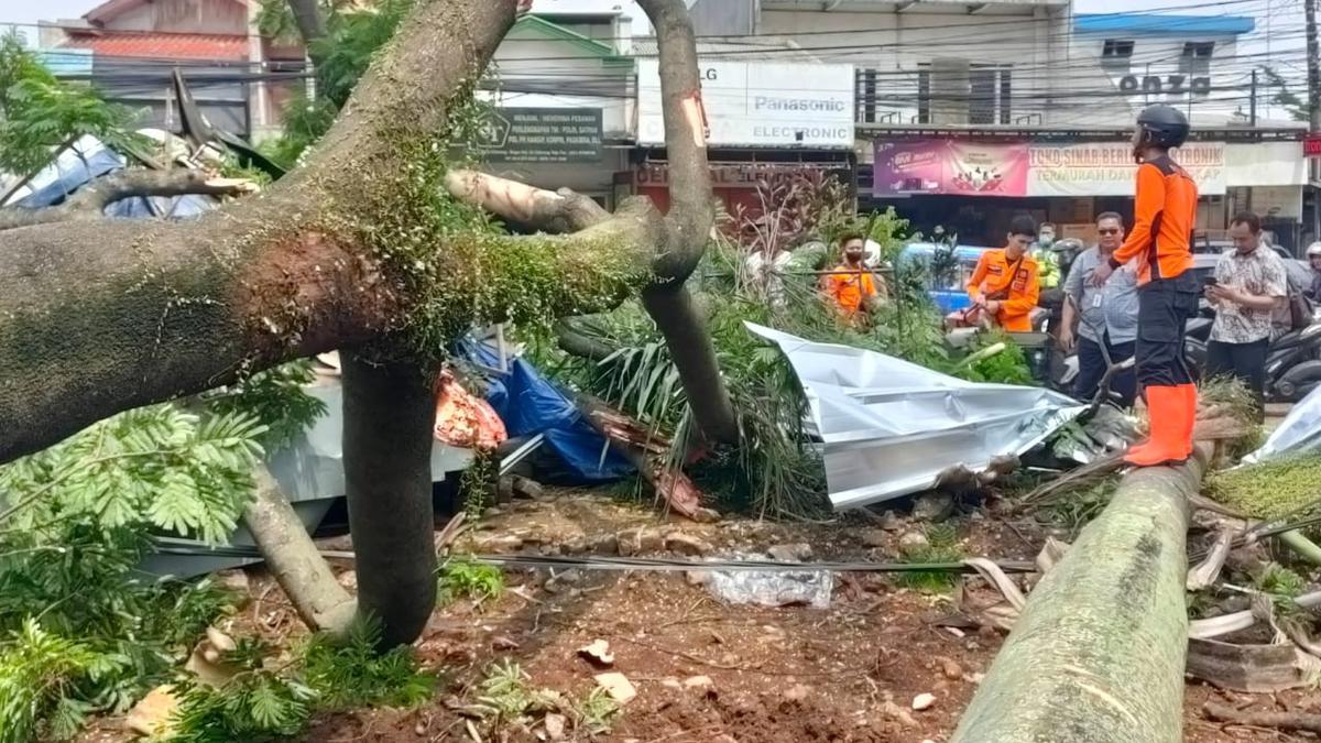 5 Kendaraan Tertimpa Pohon Tumbang di Pasar Cibinong Bogor, Pengemudi ...
