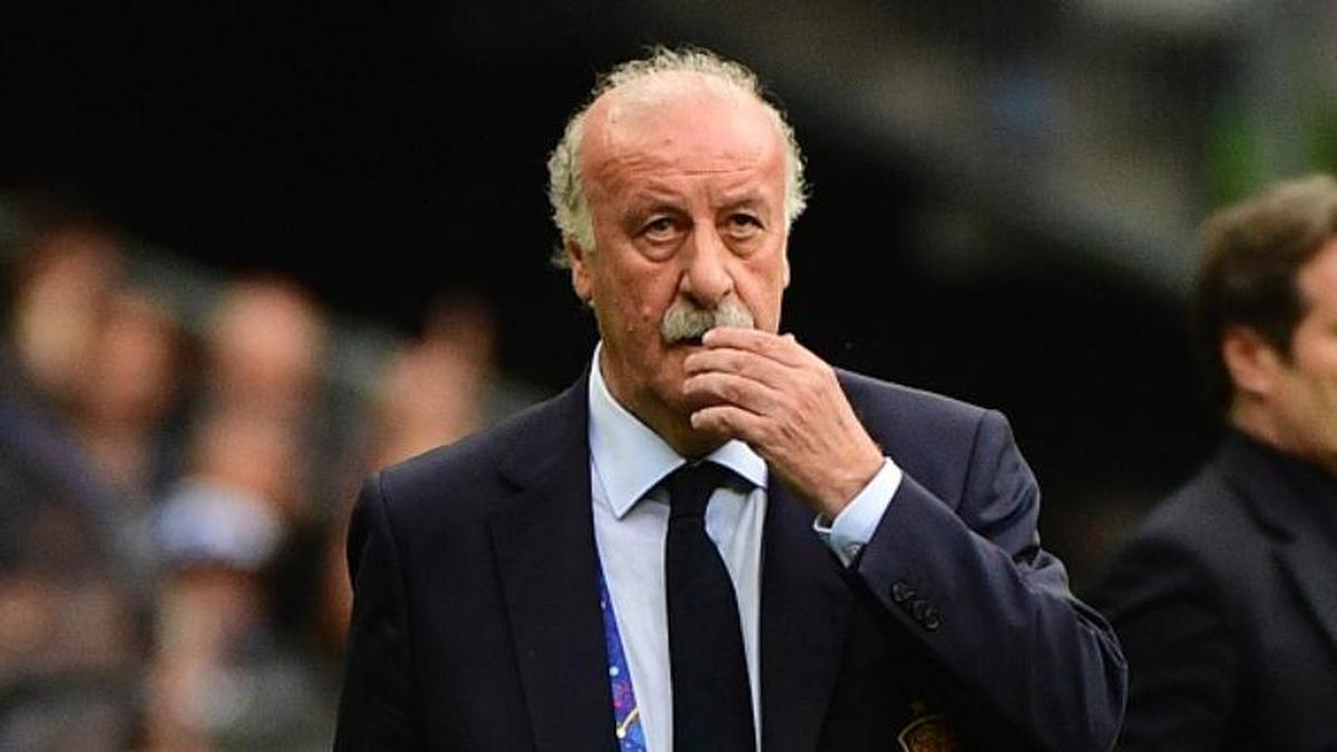 Del Bosque Sebut Generasi Emas Spanyol Belum Habis - Bola Liputan6.com