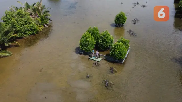 Menyelamatkan Delta Mahakam dengan Tambak Ramah Lingkungan - Regional ...
