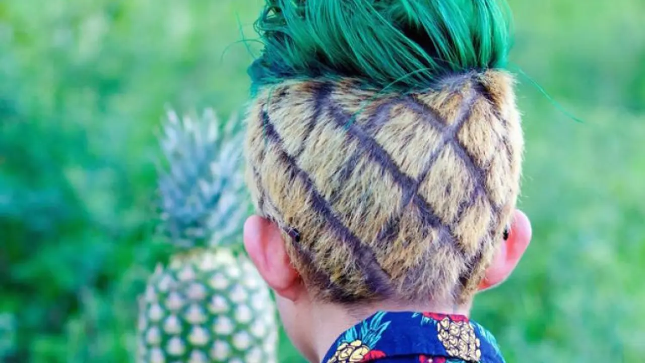 6 Potret Orang dengan Rambut Nanas Ini Gokil, Terinspirasi Rumah ...
