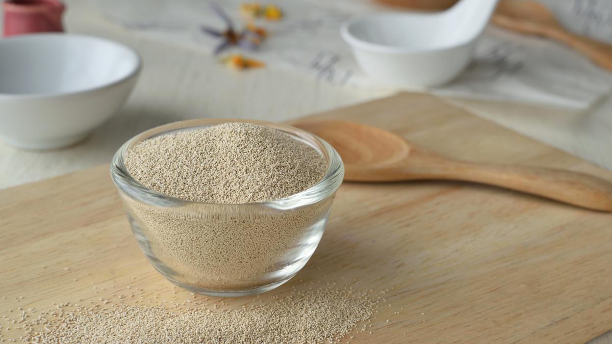 4 Langkah Mengaktifkan Ragi Kering agar Adonan Mengembang Sempurna ...