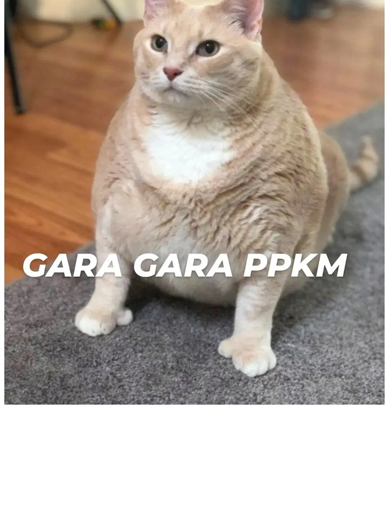 8 Meme PPKM Level 4 Lucu Ala Netizen Ini Bikin Geleng Kepala - Hot ...