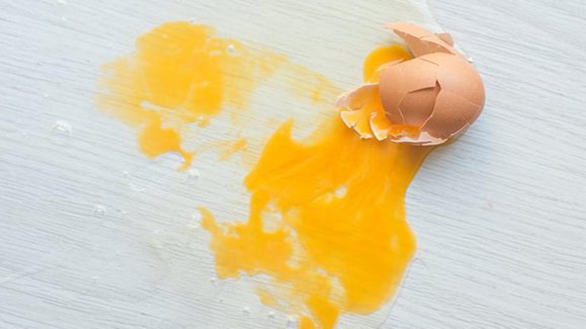 Tips Bersihkan Telur Pecah di Lantai Agar Tidak Menyisakan Bau Amis ...