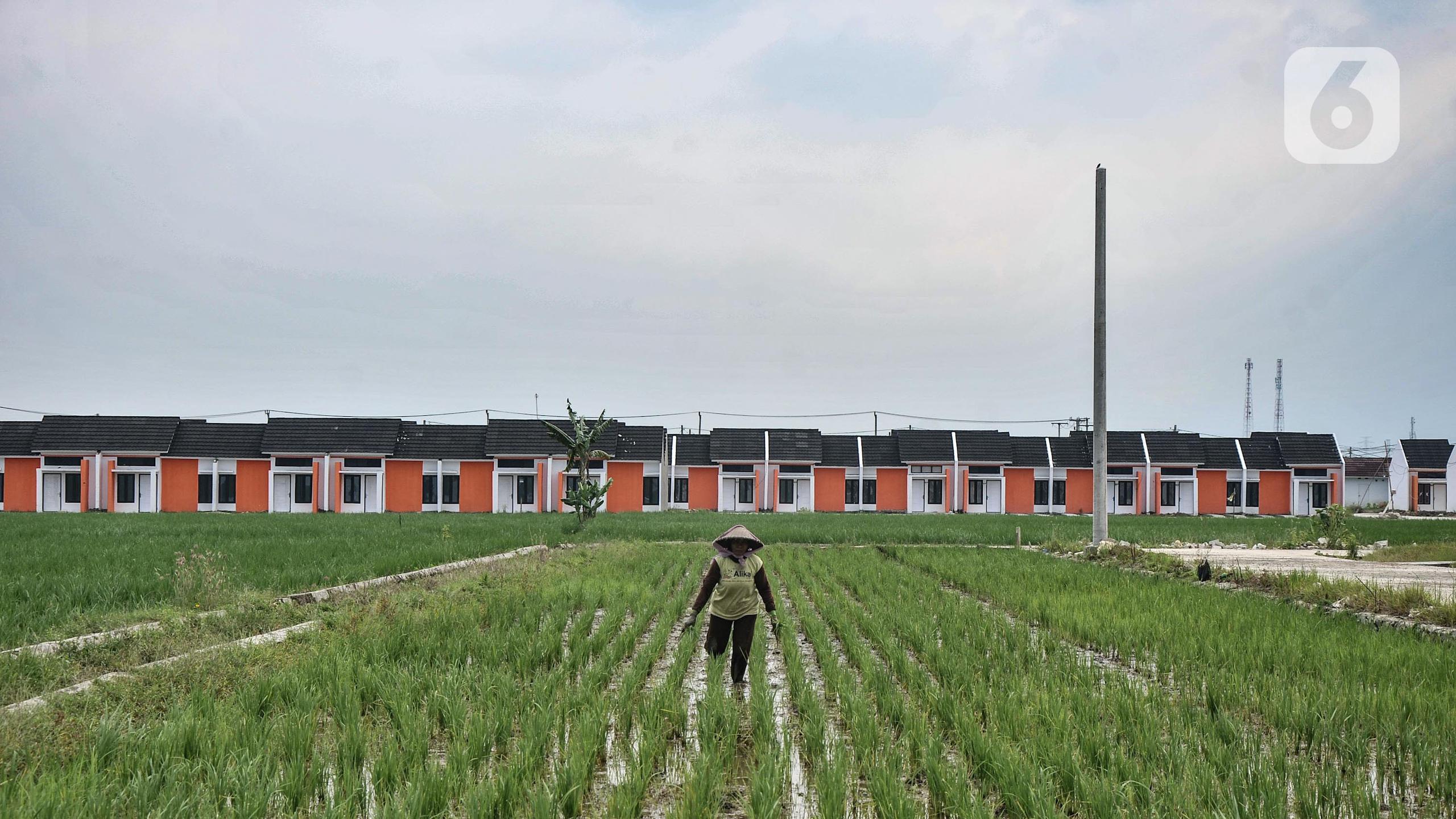 Penyaluran KPR FLPP 2025 Tembus Rp 27,7 Triliun, Tertinggi Sepanjang ...