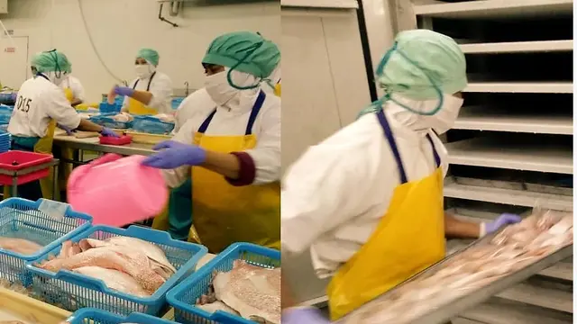 Intip Rencana Bisnis Cilacap Samudera Fishing Industry Usai Melantai di ...