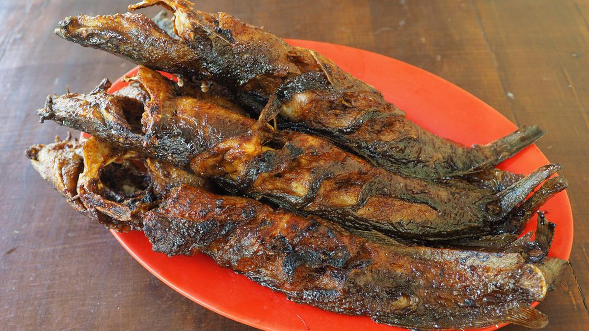 Resep Lele Bakar Pedas Manis