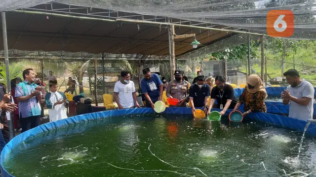 5 Cara Budidaya Ikan Nila yang Menguntungkan, Cocok untuk Pemula - Hot ...