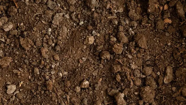 Jangan Bawa Tanah dari Makkah atau Madinah ke Kampung Halaman, Ini ...