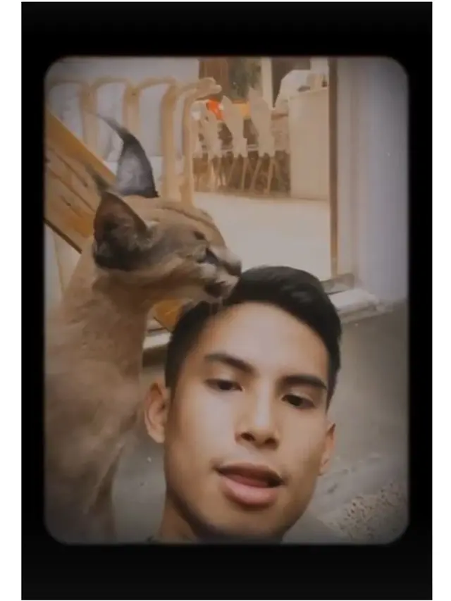 6 Potret Okin dan Kucingnya yang Kini Sedang Sakit, Dipelihara Sejak ...