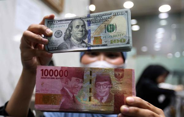 Ciri-Ciri Digigit Tomcat: Kenali Gejala dan Penanganannya