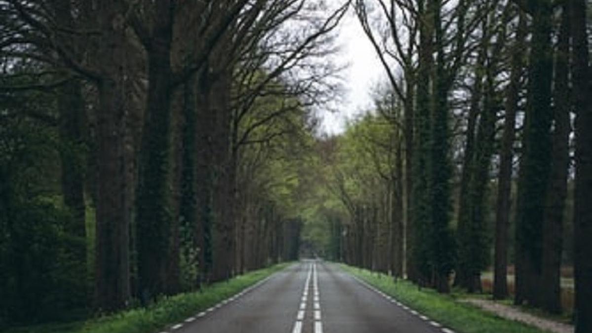 7 Jalan Paling Berhantu di Singapura, Berani Lewat?