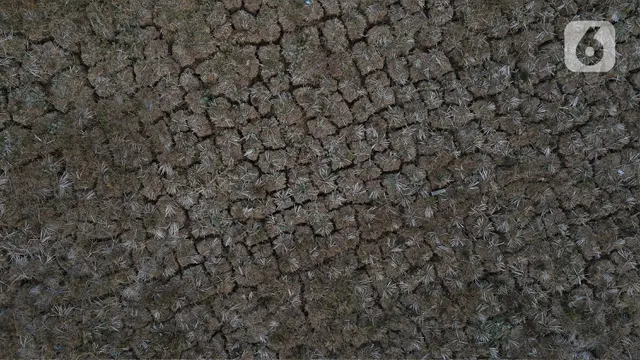 BPBD Malang Guyurkan 2,1 Juta Liter Air ke Sejumlah Desa Terdampak Kekeringan - Surabaya ...