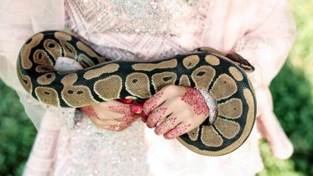 Ganti Buket Bunga dengan Ular, Foto Prewed Pasangan Ini Bikin Ngeri ...